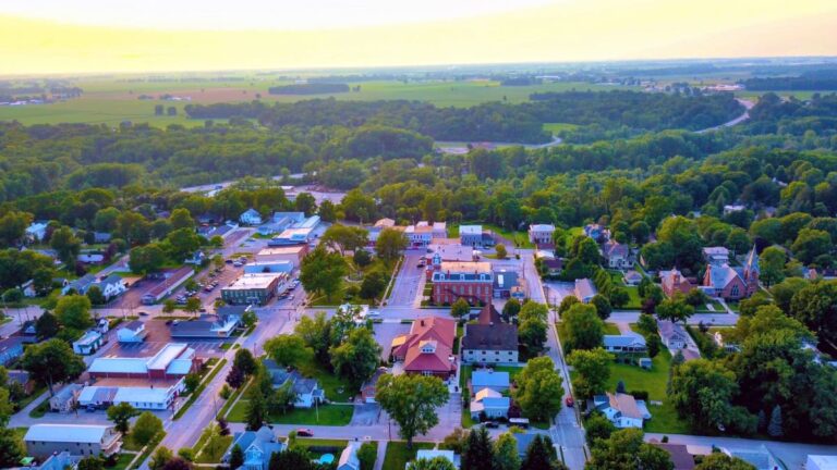 Government - Village of Milan